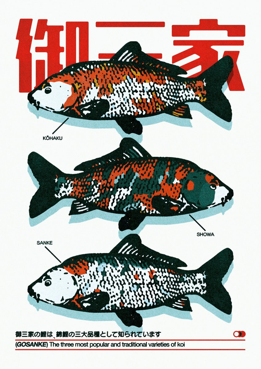 Gosanke by Othman Zougam – DROOL