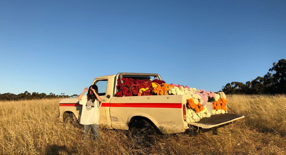 Nadia Ryder Art Prints and Posters | DROOL