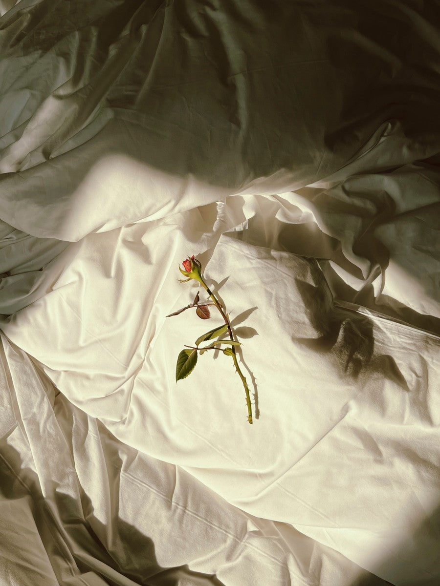 Flower 2 by Burak Boylu – DROOL