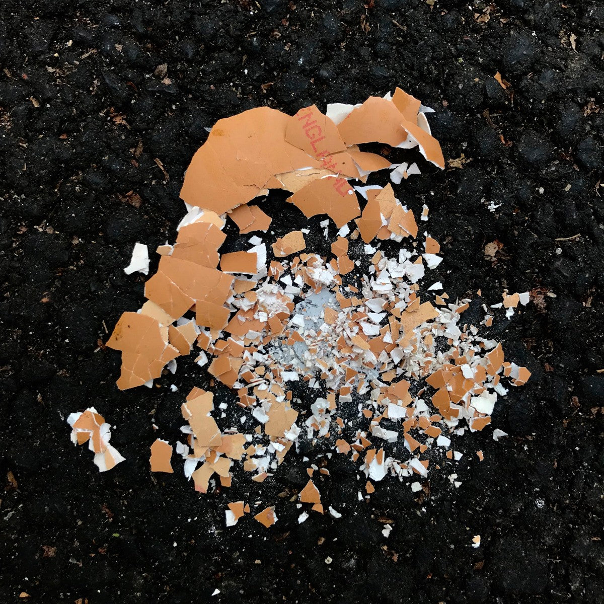 Egg Shell, Someone's Rubbish by Chloe Juno – DROOL