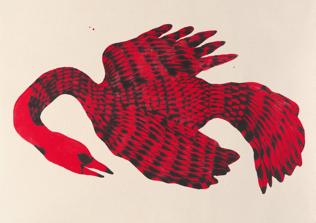 Bird In Red by Kwonny – DROOL